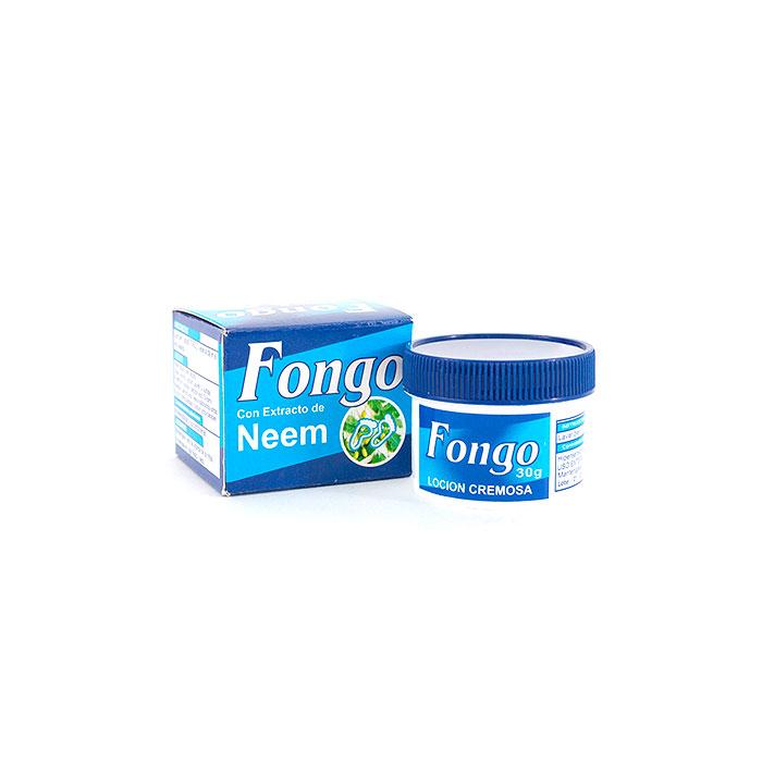 FONGO – Natural Light